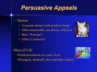 Ad Appeals.ppt