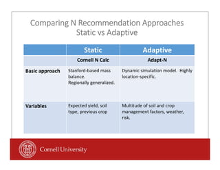 Adapt n comparing static - ristow | PDF