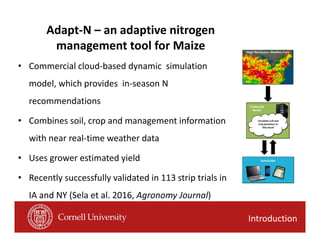 Adapt n comparing static - ristow | PDF