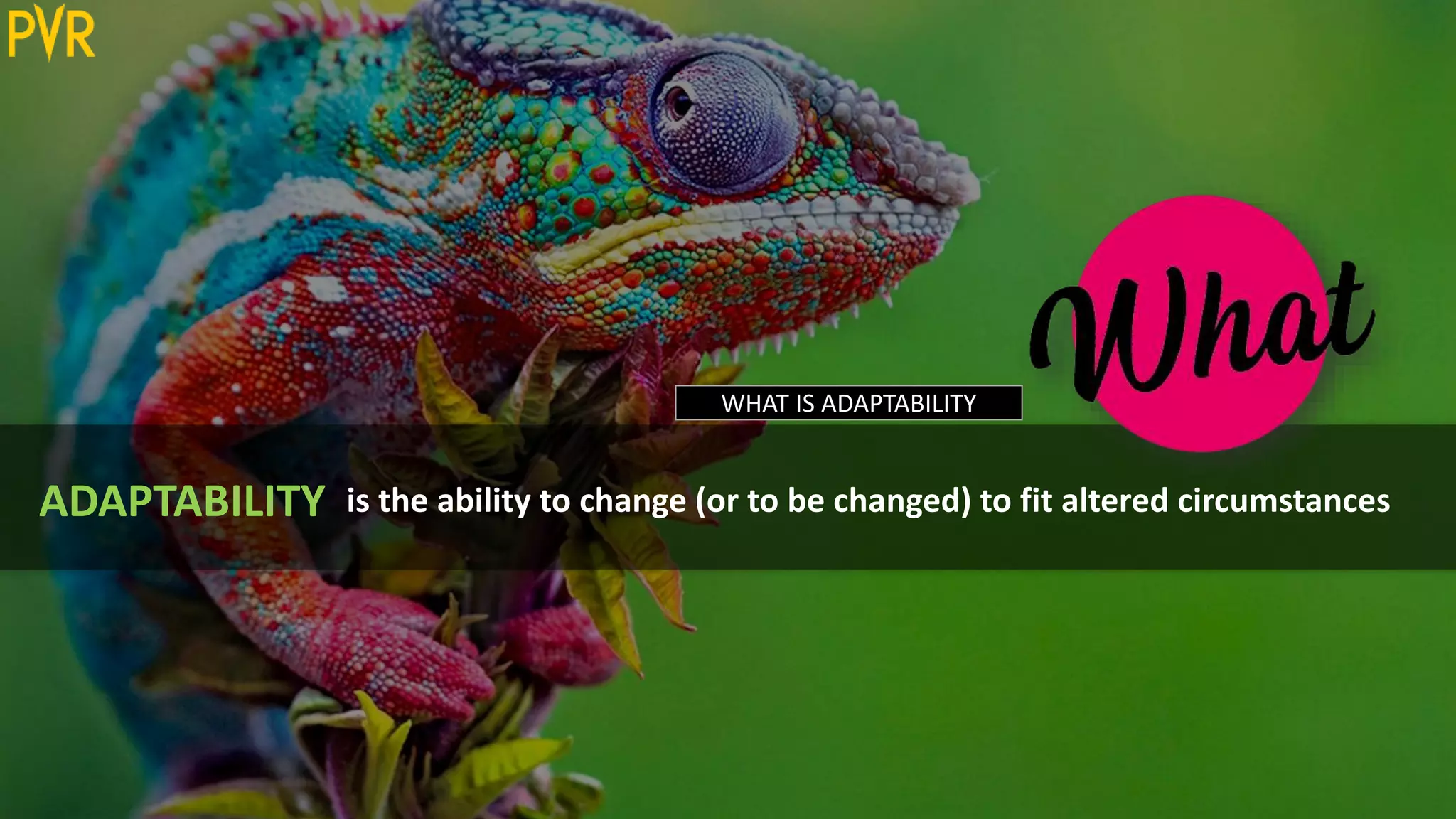 Adaptability | PPTX