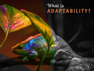 Adaptability Skill ( What, Why & How) | PPT