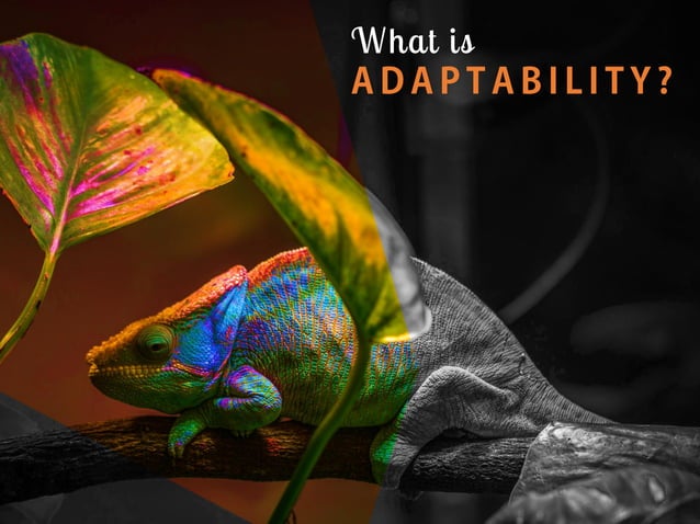 Adaptability Skill ( What, Why & How) | PPT | Free Download