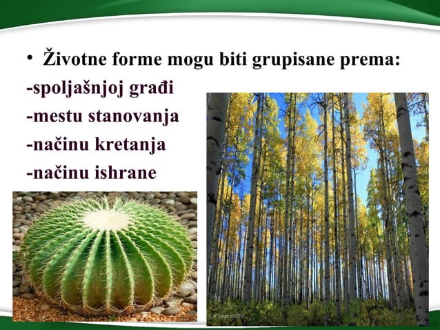 Adaptacije i životne forme | PPT