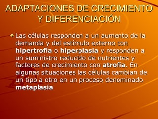 Anatomía patológica de adaptación celular | PPT