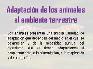 Adaptación de los seres vivos | PPTX