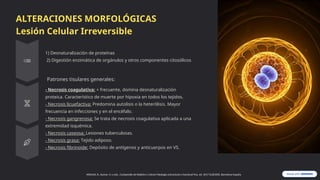 Adaptacion,, Lesion-y-Muerte-Celular.pptx