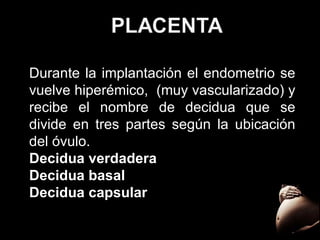Adaptacion Del Embarazo Y Desarrollo Fetal | PPT