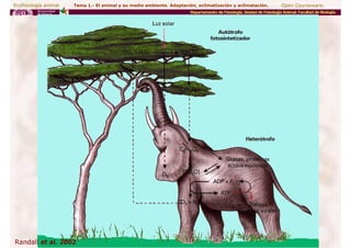 Adaptacion de los animales | PDF