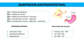 ADAPTACION DEL RN.pptx