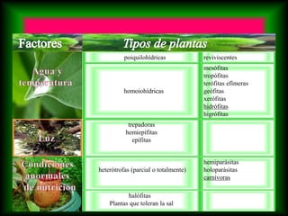 Adaptaciones | PPT