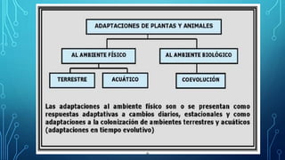 ADAPTACIONES.pptx