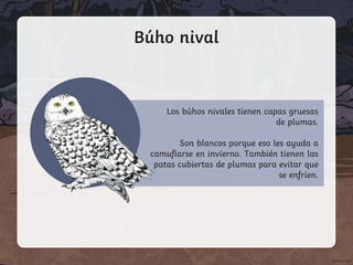 adaptaciones de animales y planta. ppt s | PPTX