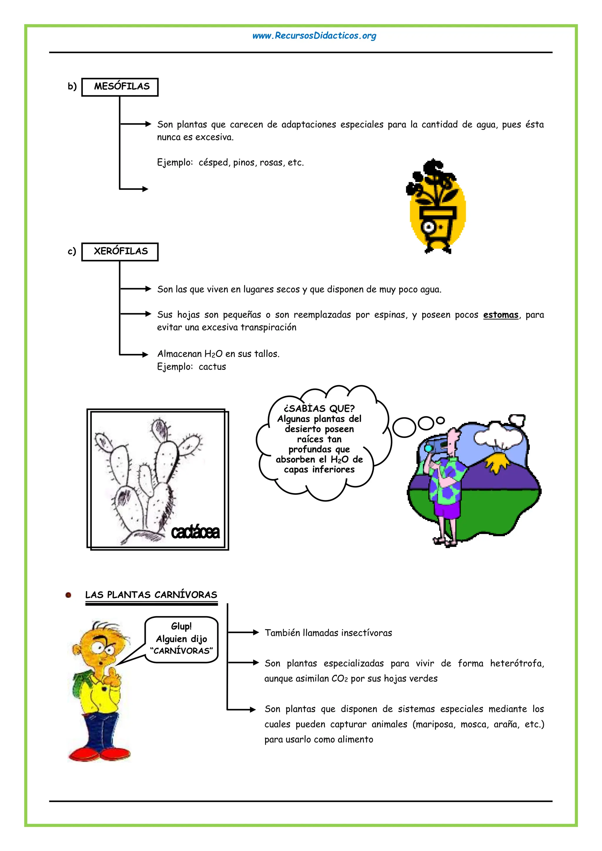 Adaptaciones-de-las-Plantas-para-Segundo-de-Secundaria.doc