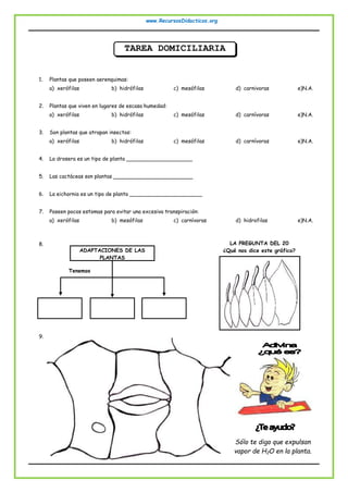 Adaptaciones-de-las-Plantas-para-Segundo-de-Secundaria.doc