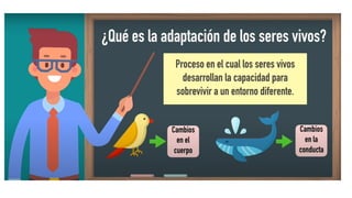 ADAPTACIONES CIENCIAS naturales , primaria.pptx