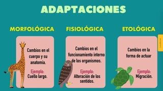 ADAPTACIONES CIENCIAS naturales , primaria.pptx