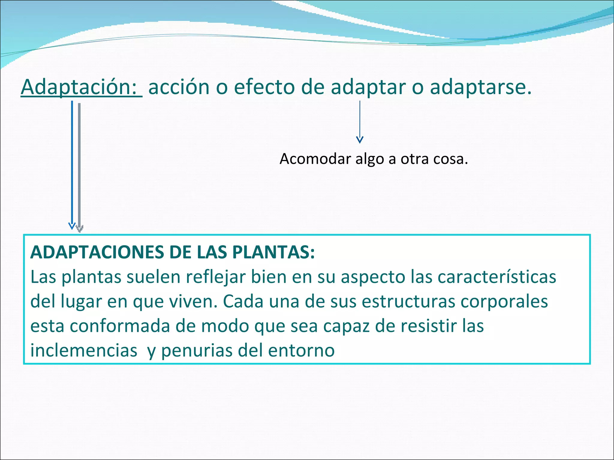 Adaptaciones De Las Plantas | PPT | Descarga Gratuita