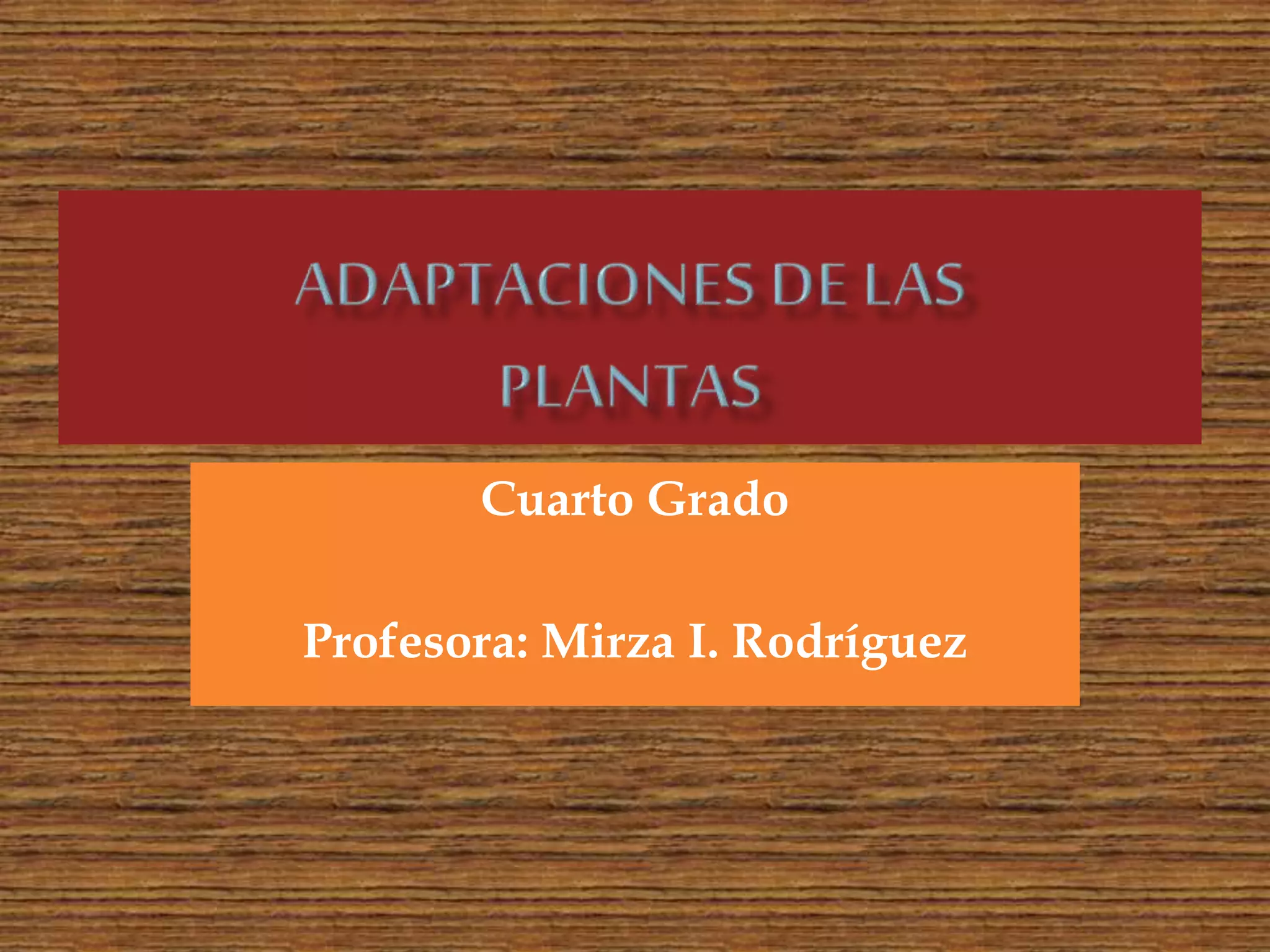 Adaptaciones de las plantas | PPT