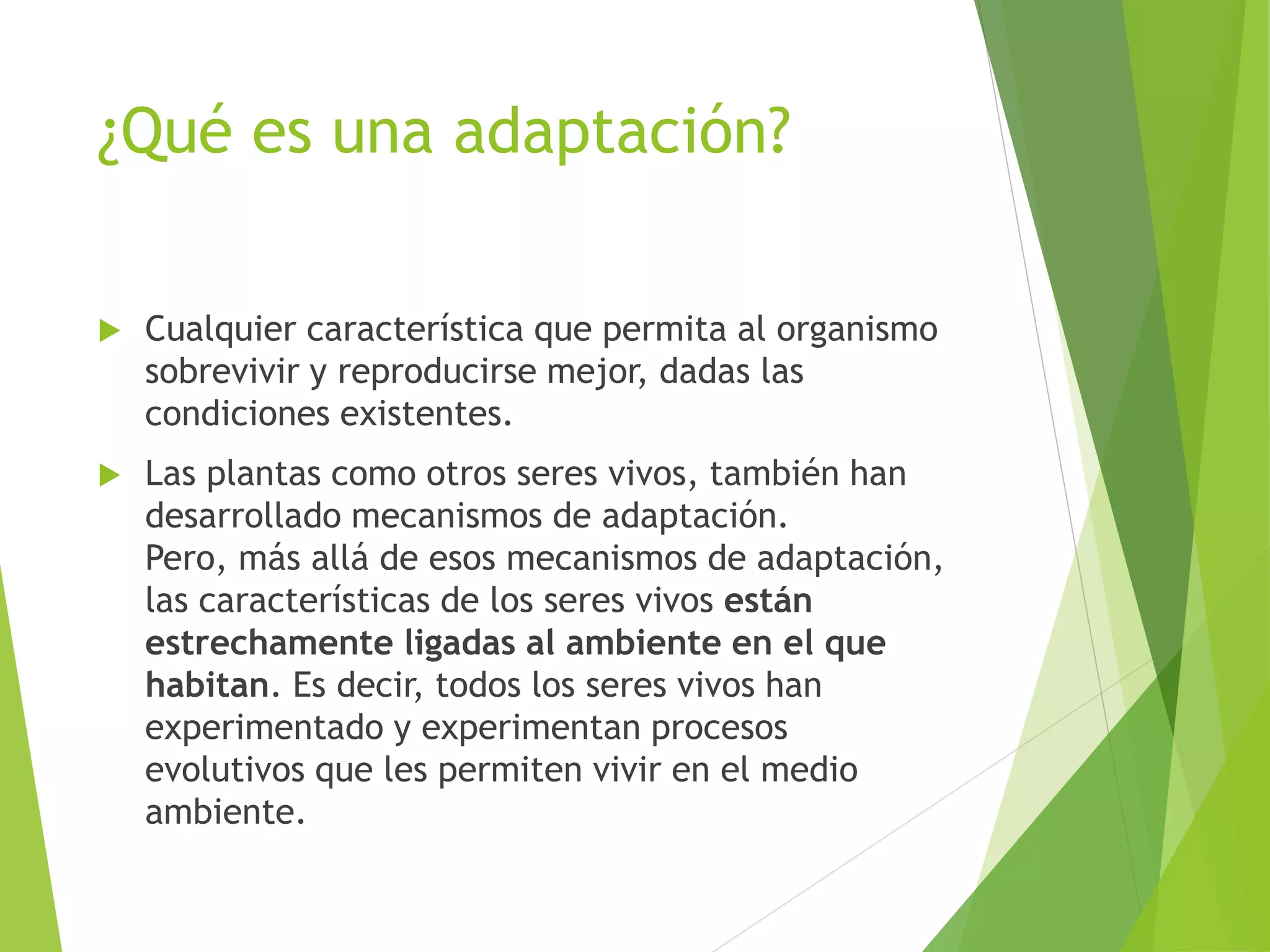 adaptaciones de las plantas.ppt