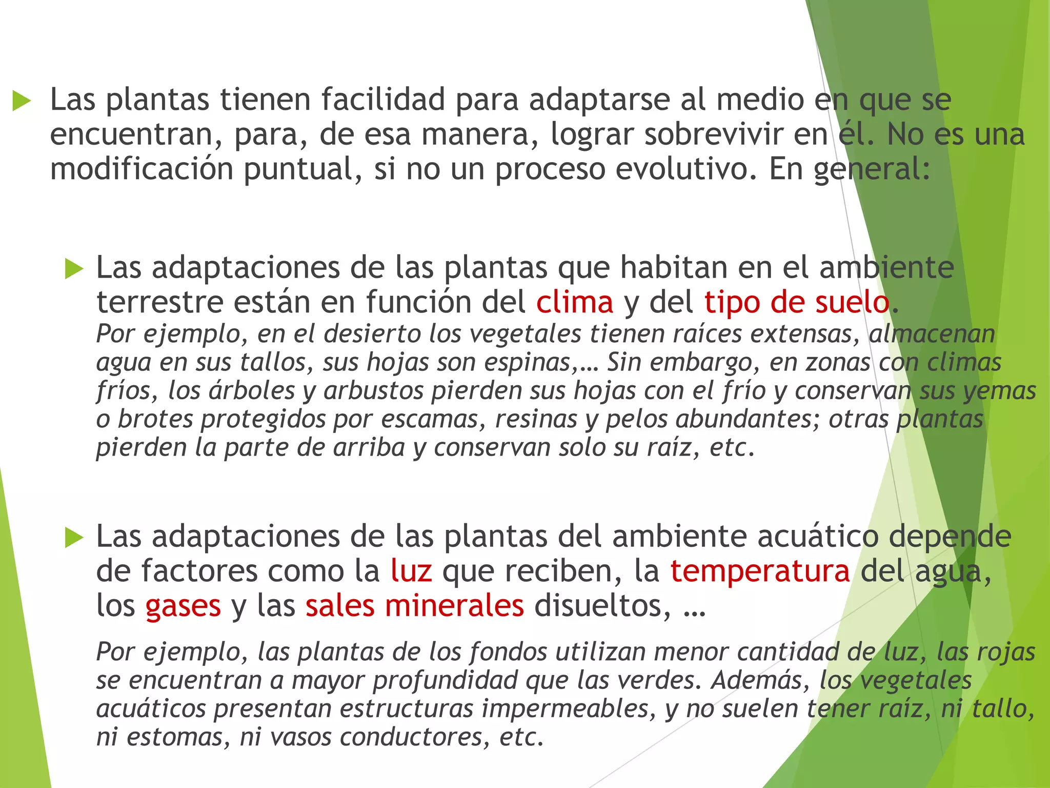 adaptaciones de las plantas.ppt