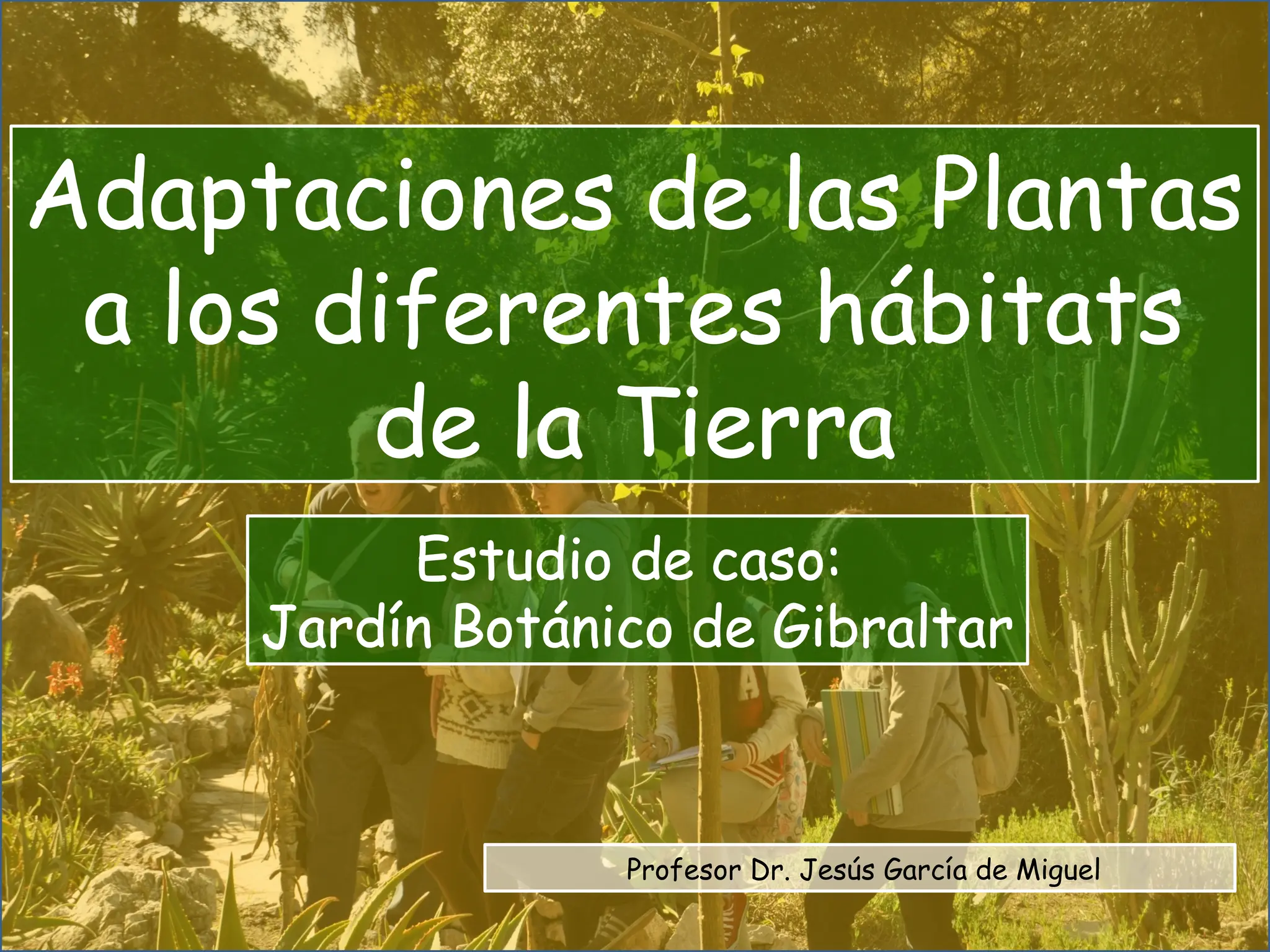 Las adaptaciones de las plantas a diferentes tipos de Biomas terrestres ...