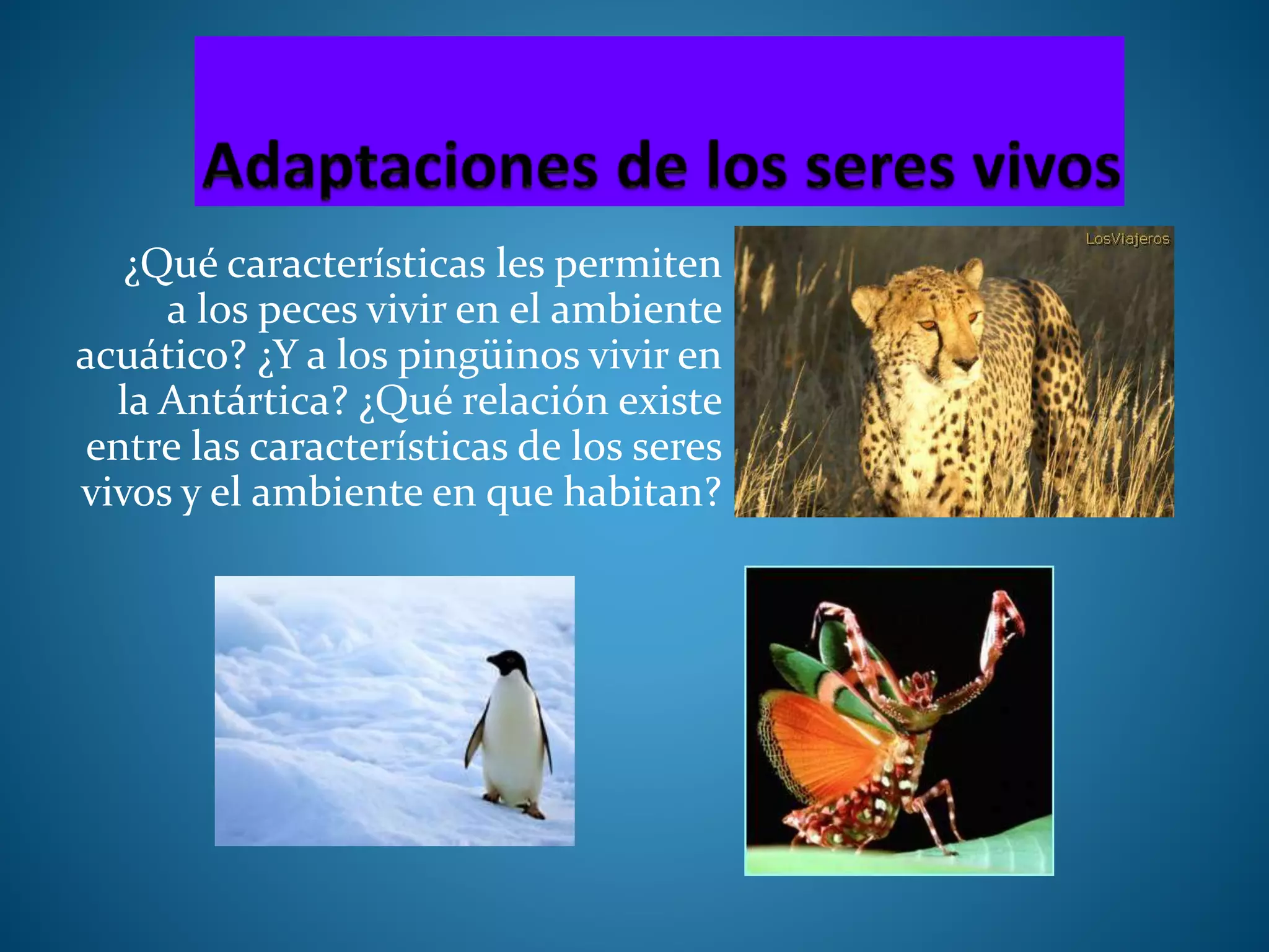 Adaptaciones de los seres vivos | PPT