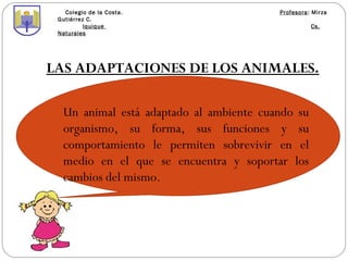 Adaptaciones de los seres vivos | PPT