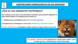 ADAPTACIONES MORFOLOGICAS DE LOS ANIMALES.pptx