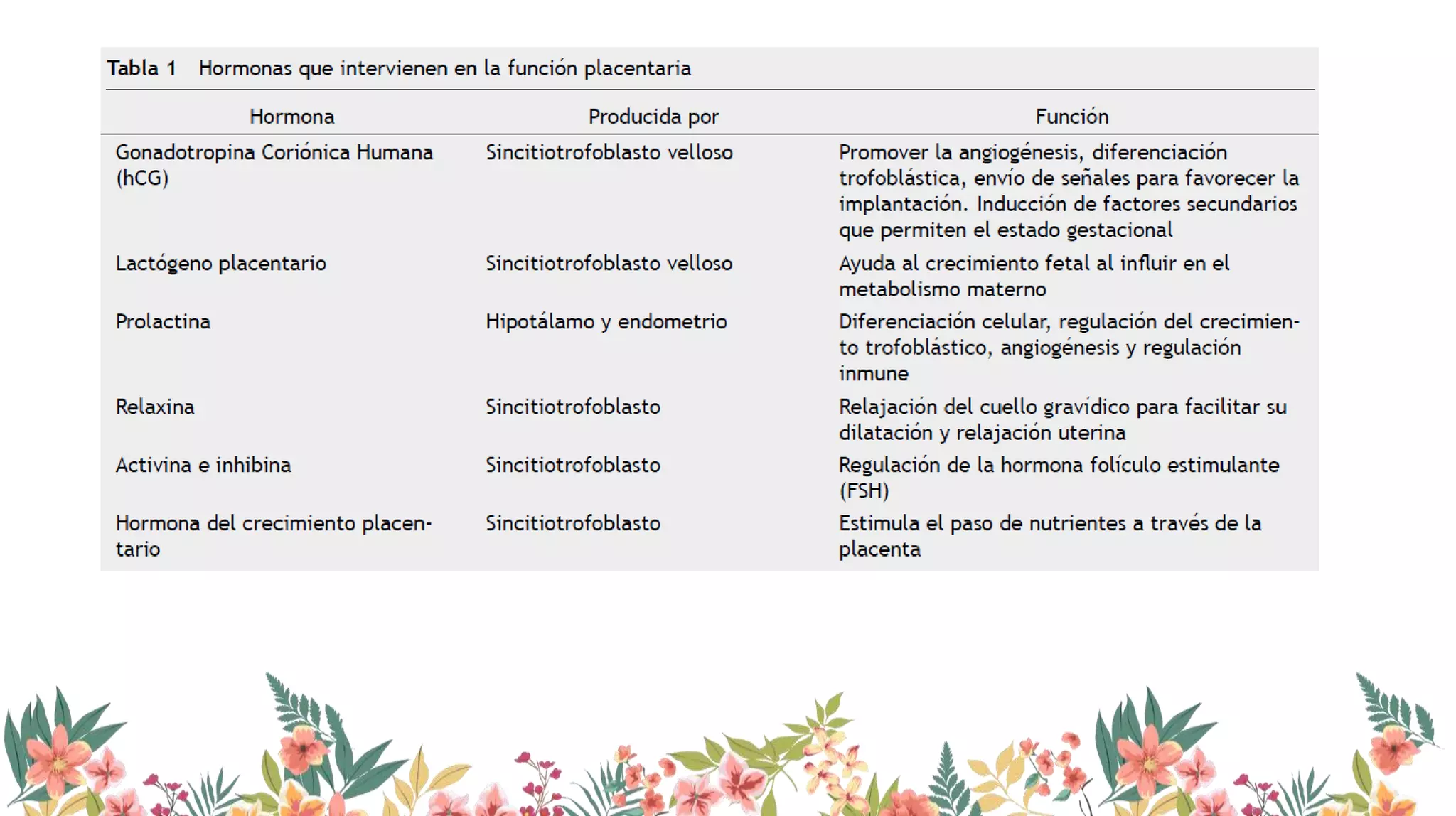 Adaptacion materna al embarazo y unidad fetoplacentaria | PPTX