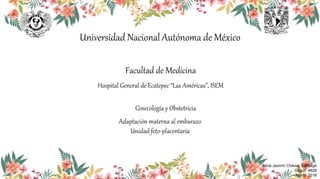 Adaptacion materna al embarazo y unidad fetoplacentaria | PPTX
