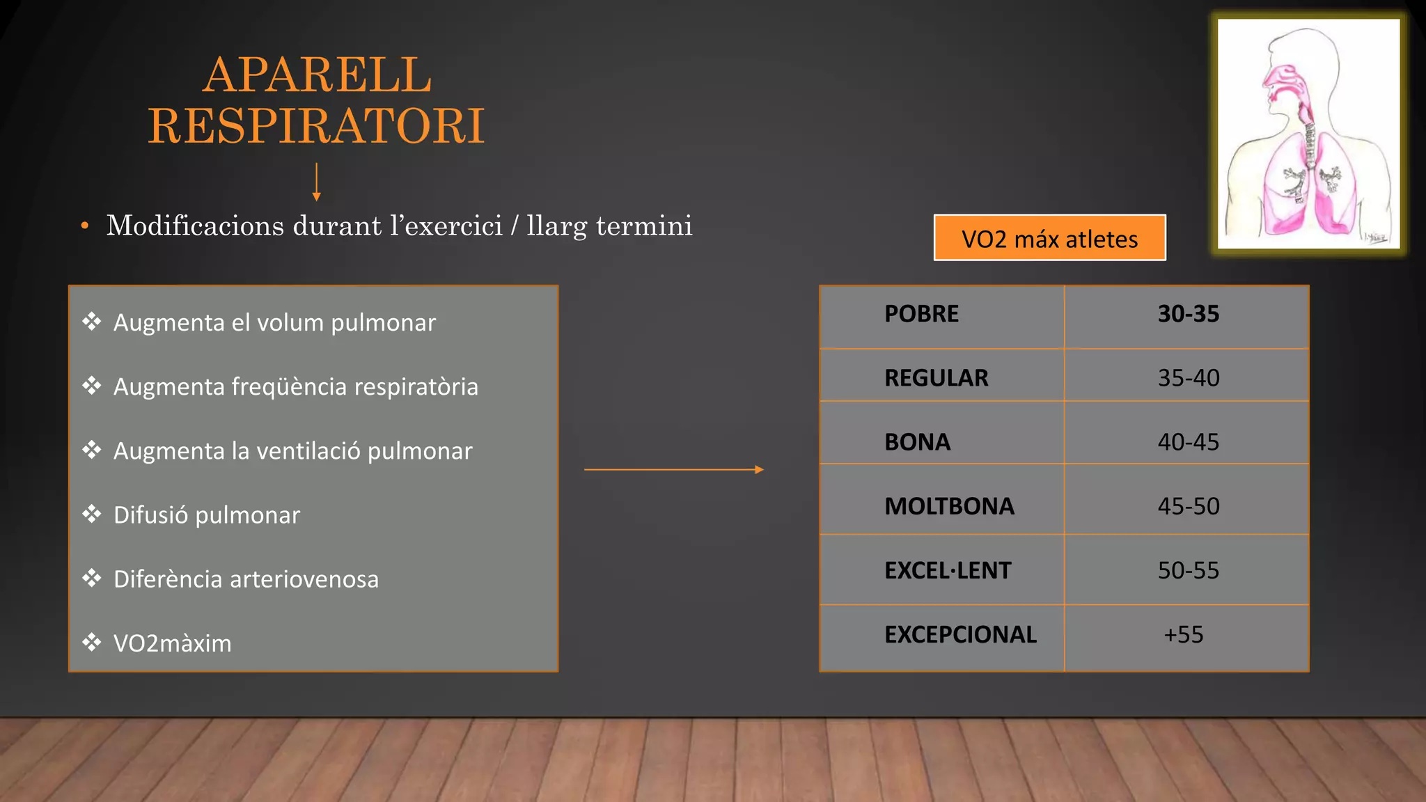 Adaptacions funcionals a l’exercici | PPTX