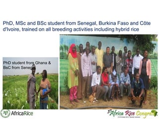 Th1_Adaptation of hybrid rice technology in West Africa | PPT