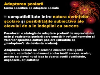 Adaptare suport curs | PPT