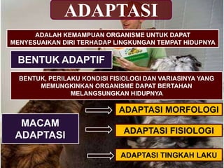 adaptasi-130706010812-phpapp02.pdf