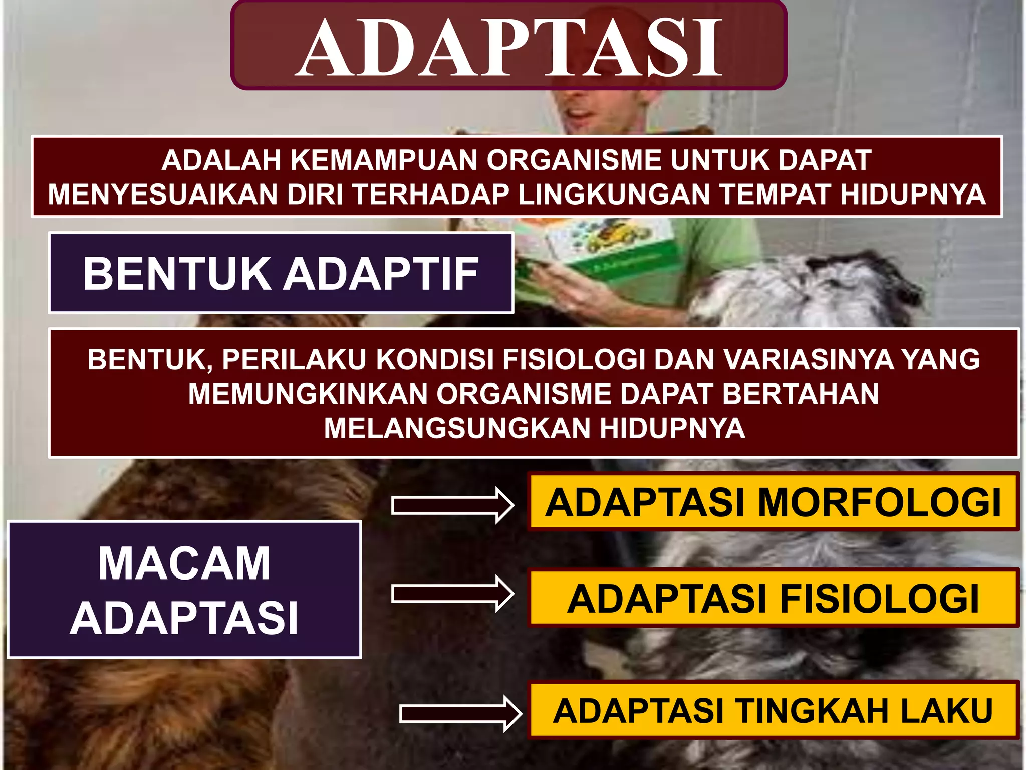 Adaptasi. PPT ipa kls 9 | PPTX