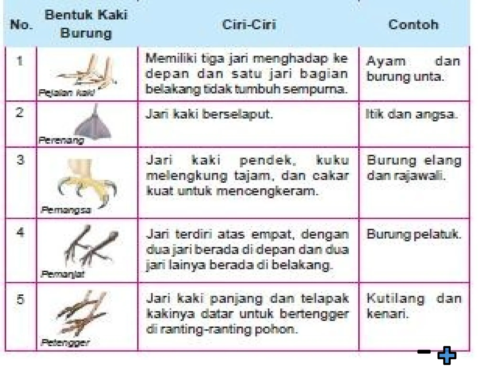 Adaptasi Pada Makhluk Hidup Terhadap Lingkungan.ppt