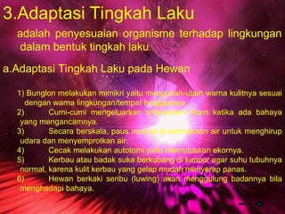 Adaptasi Pada Makhluk Hidup Terhadap Lingkungan.ppt