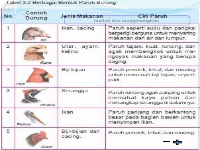 Adaptasi Pada Makhluk Hidup Terhadap Lingkungan.ppt