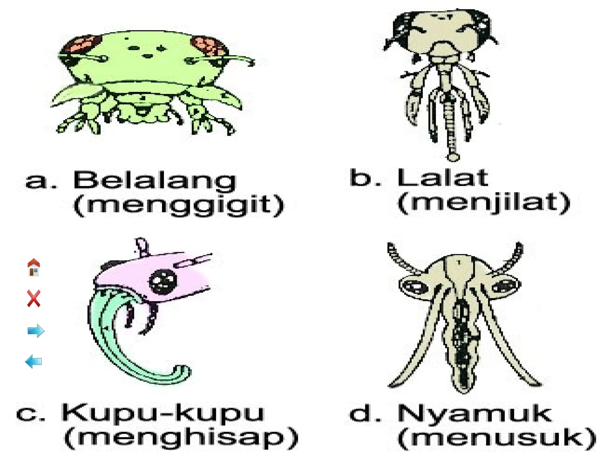 Bentuk-bentuk Adaptasi Pada Makhluk Hidup.ppt