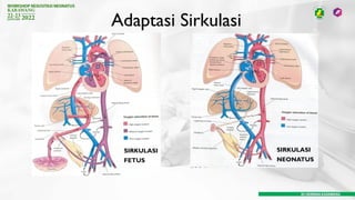 ADAPTASI-DAN-FISIOLOGIS-BAYI-BARU-LAHIR-1.pdf