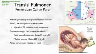ADAPTASI-DAN-FISIOLOGIS-BAYI-BARU-LAHIR-1.pdf