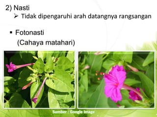 Adaptasi dan peka terhadap rangsang ppt kel | PPT