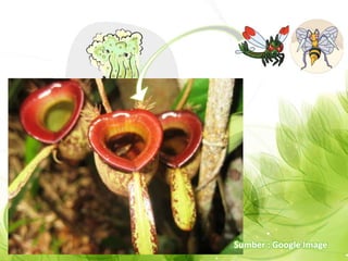 Adaptasi dan peka terhadap rangsang ppt kel | PPT