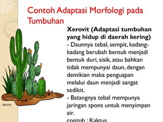 Adaptasi | PDF | Free download