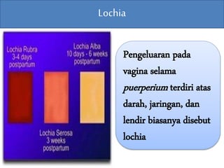 Adaptasi fisiologis dan psikologis ibu post partum | PPTX