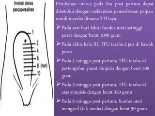 Adaptasi fisiologis dan psikologis ibu post partum | PPT