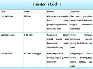 Adaptasi fisiologis dan psikologis ibu post partum | PPT