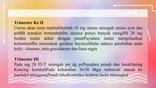 Adaptasi Fisiologi Sistem Hematologi.pptx