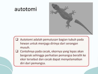 Adaptasi_hewan.pptx materi kelas 6 sekolah dasar | PPTX