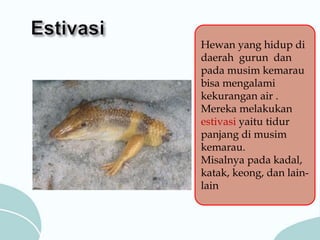 Adaptasi_hewan.pptx materi kelas 6 sekolah dasar | PPTX